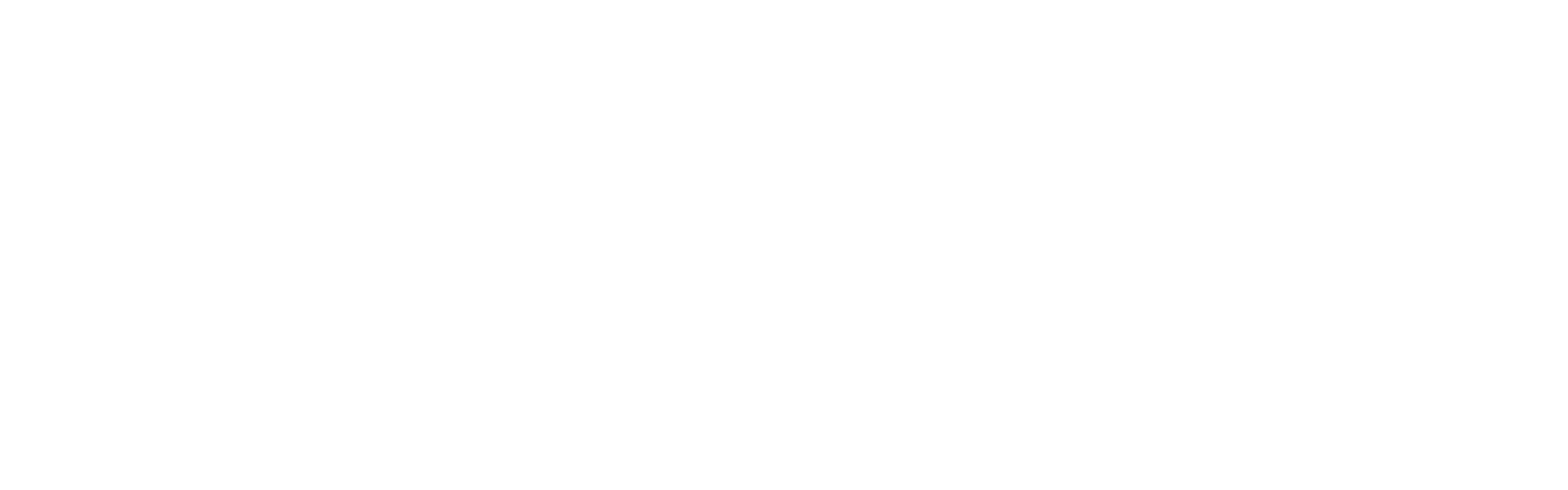 BOKMA JONGE GRAANJENEVER 1L VOL 38% | Lingier Familie groothandel met smaak